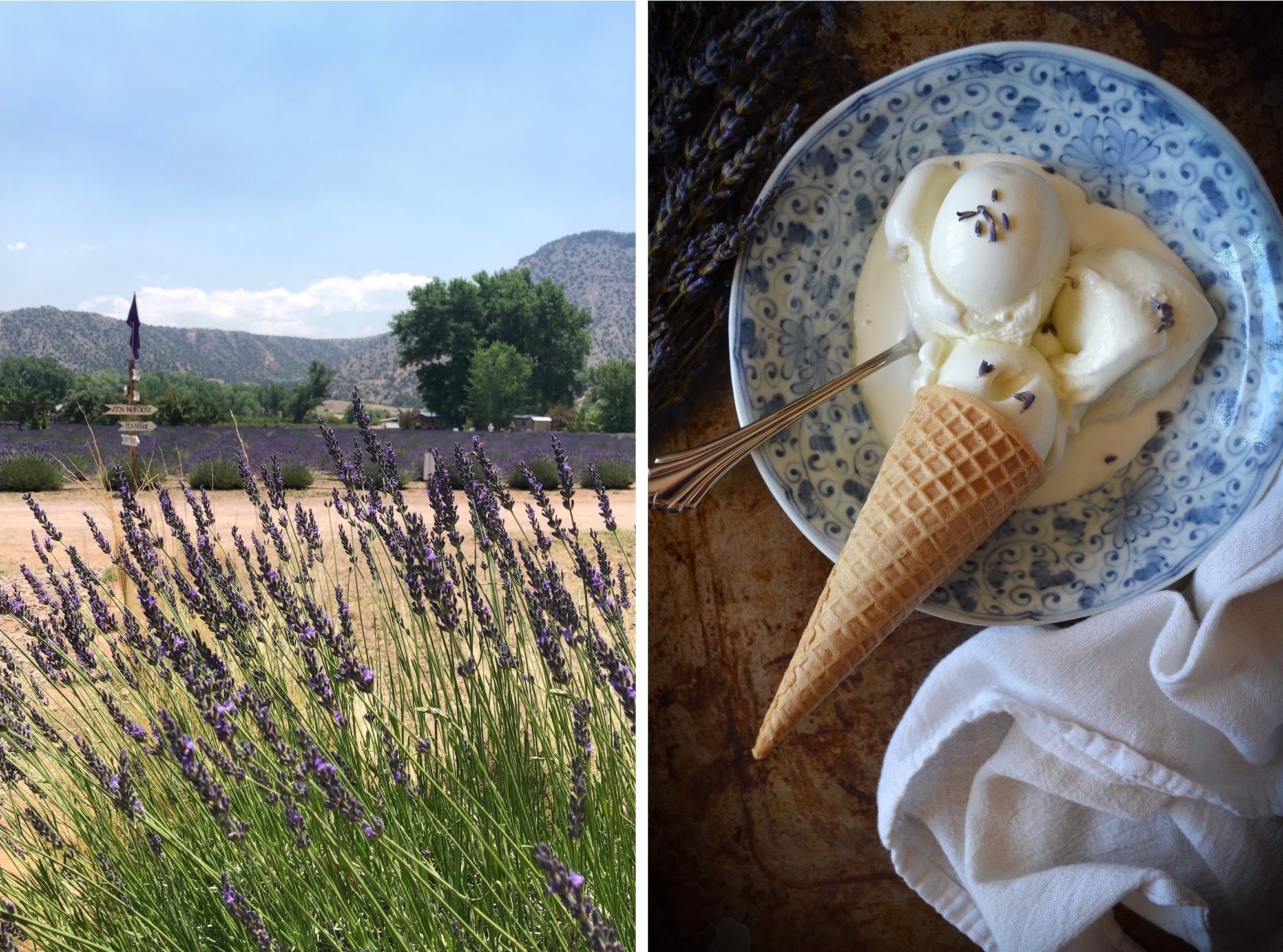 Lavender Gelato – Rebecca Sherrow